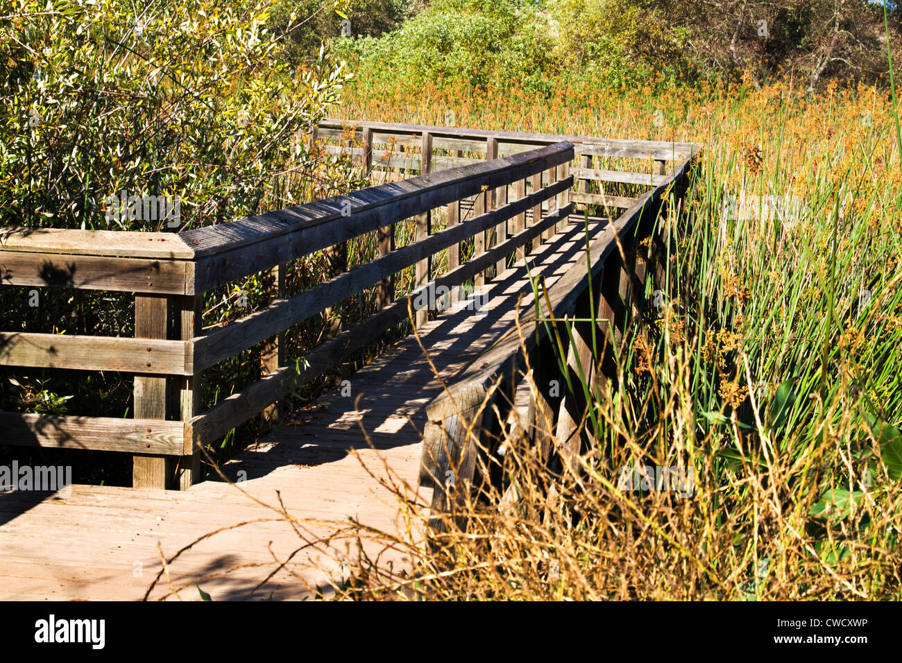Wooden bridge footbridge hi-res stock photography and images - Alamy
