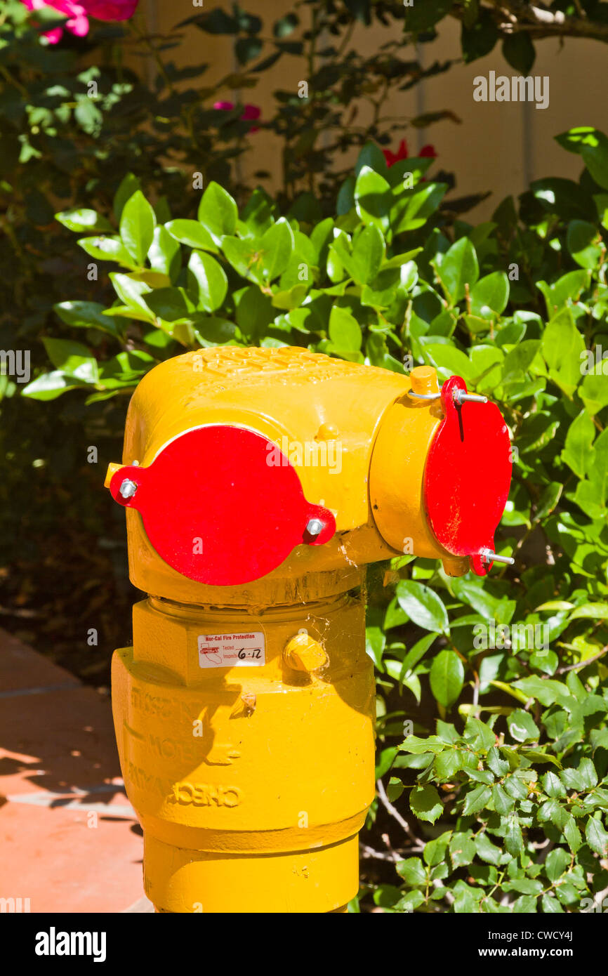 Brightly painted fire plug hydrant in downtown Los Gatos, California ...