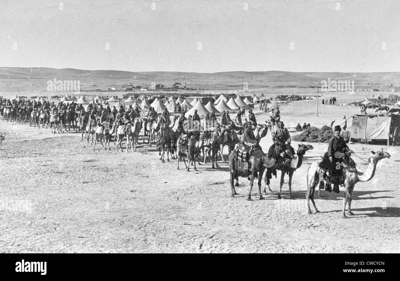 Bh Army C C B P W W; R P 2 ￡0.99 dskgroup.co.jp