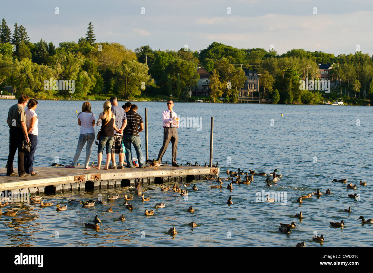 People on a dock feeding ducks Stock Photo - Alamy