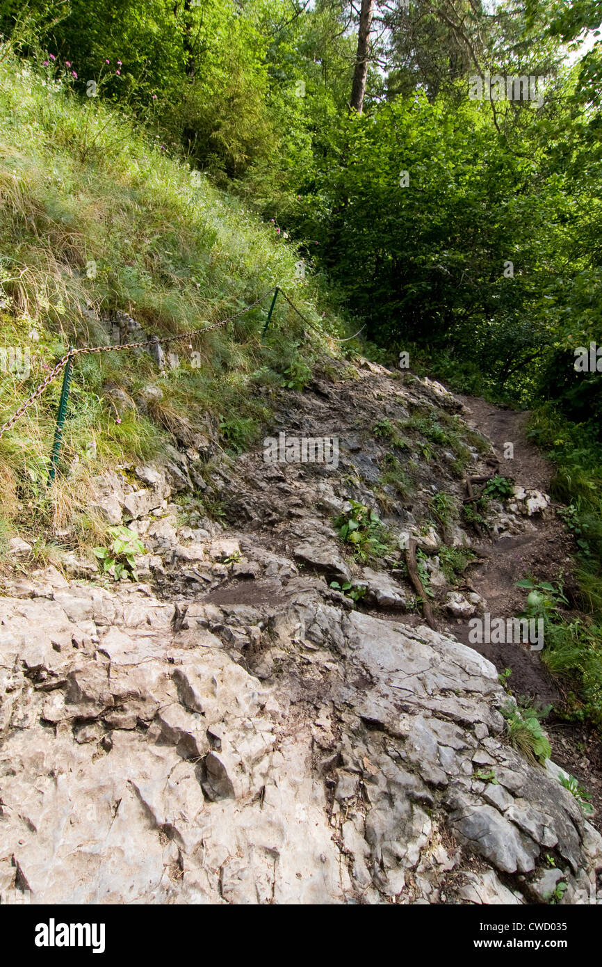 Slovensky Raj, Slovakia, Europe Stock Photo - Alamy