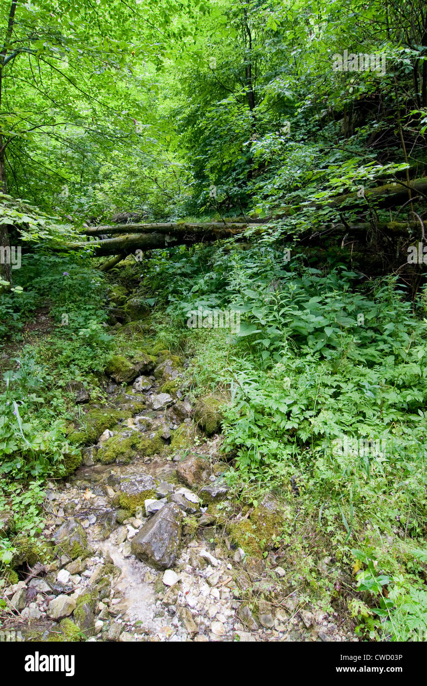 Slovensky Raj, Slovakia, Europe Stock Photo - Alamy