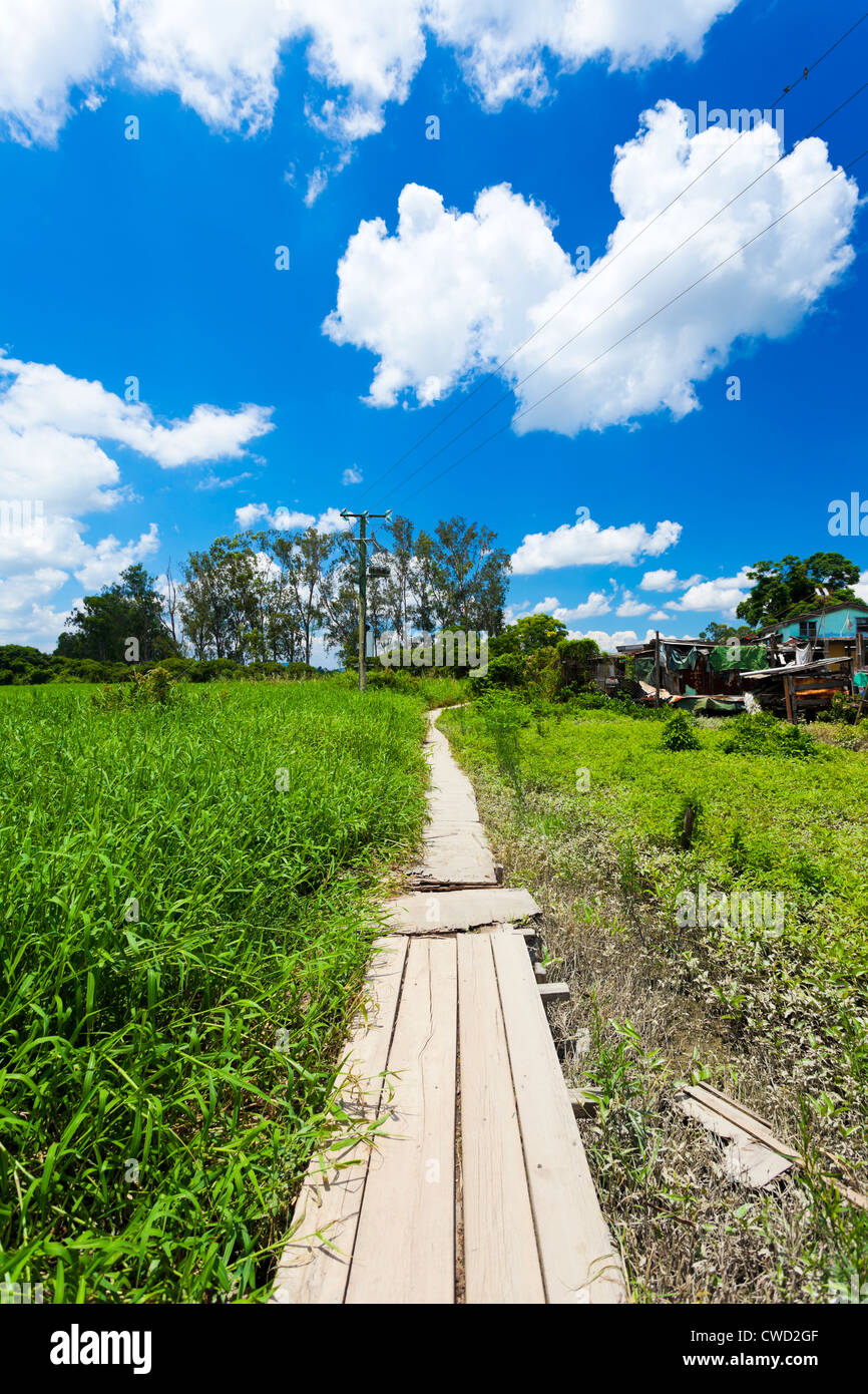 Beautiful path along the meadows Stock Photo - Alamy