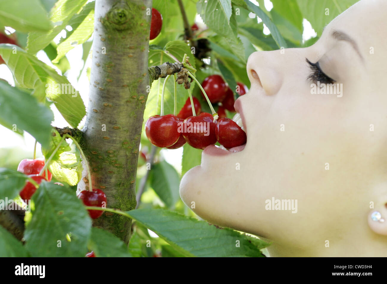 Indulgence and consumption hi-res stock photography and images - Alamy