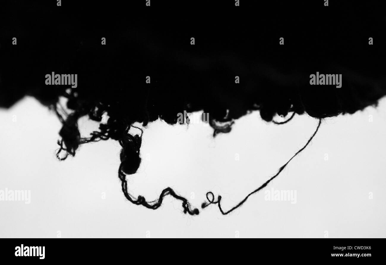 Contrast Fabric High Resolution Stock Photography and Images - Alamy