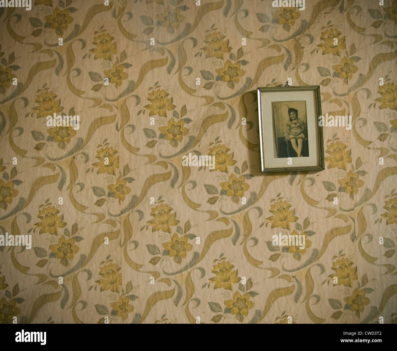 memory,floral wallpaper,picture frame Stock Photo - Alamy