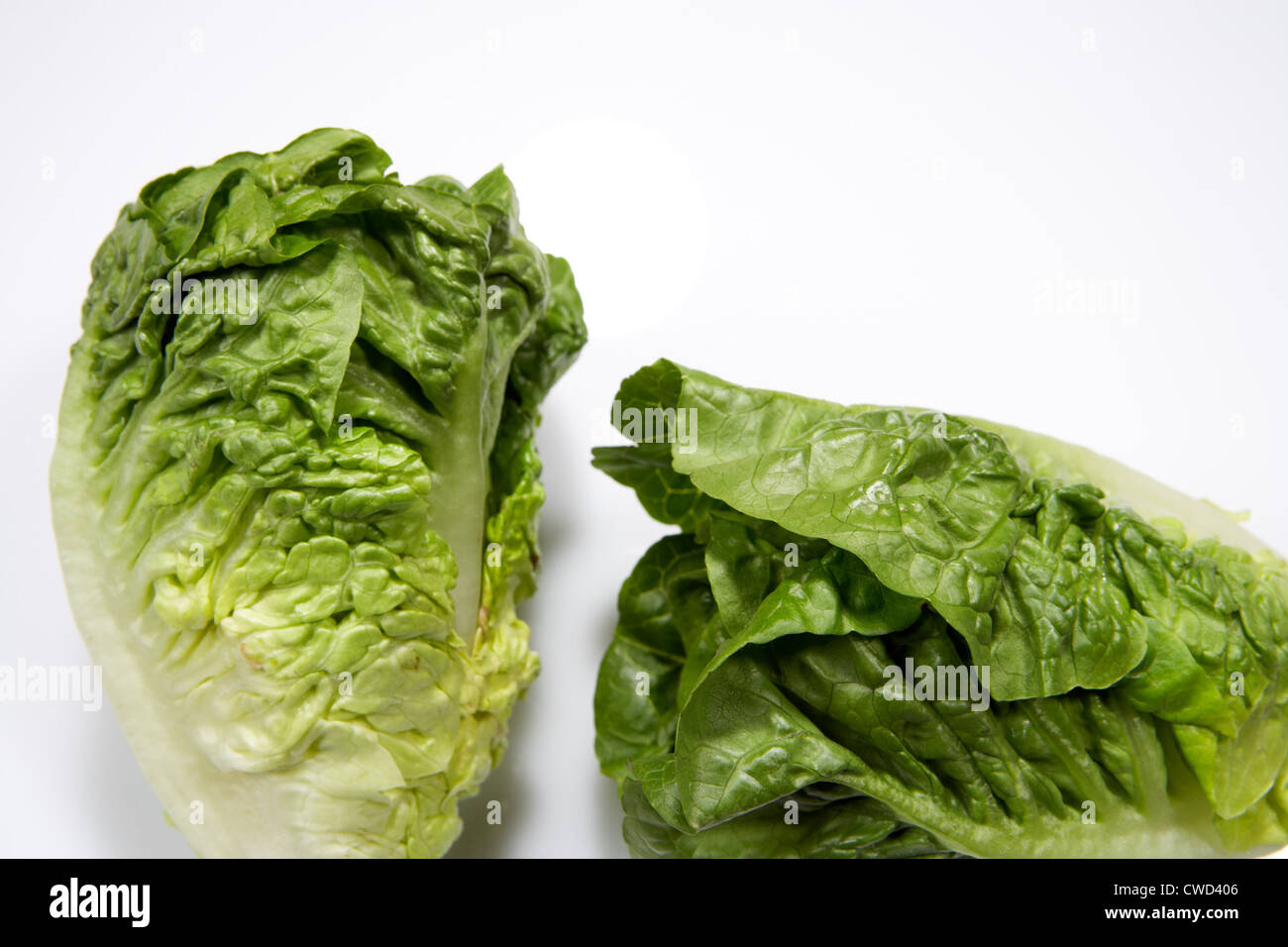 Mini romaine lettuce hi-res stock photography and images - Alamy