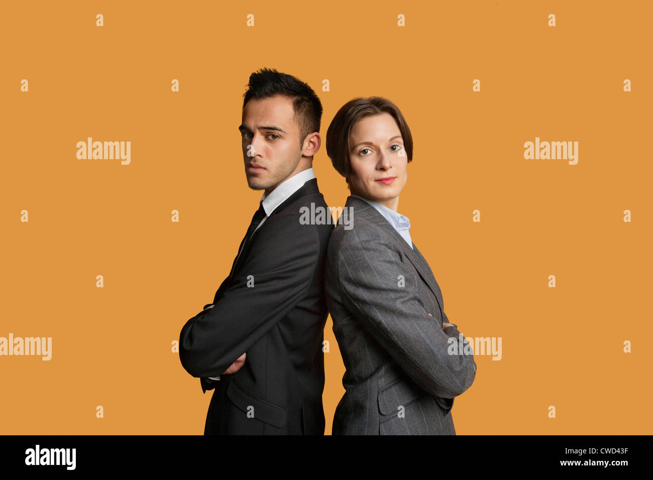 Portrait of a business partners standing back to back with arms crossed ...