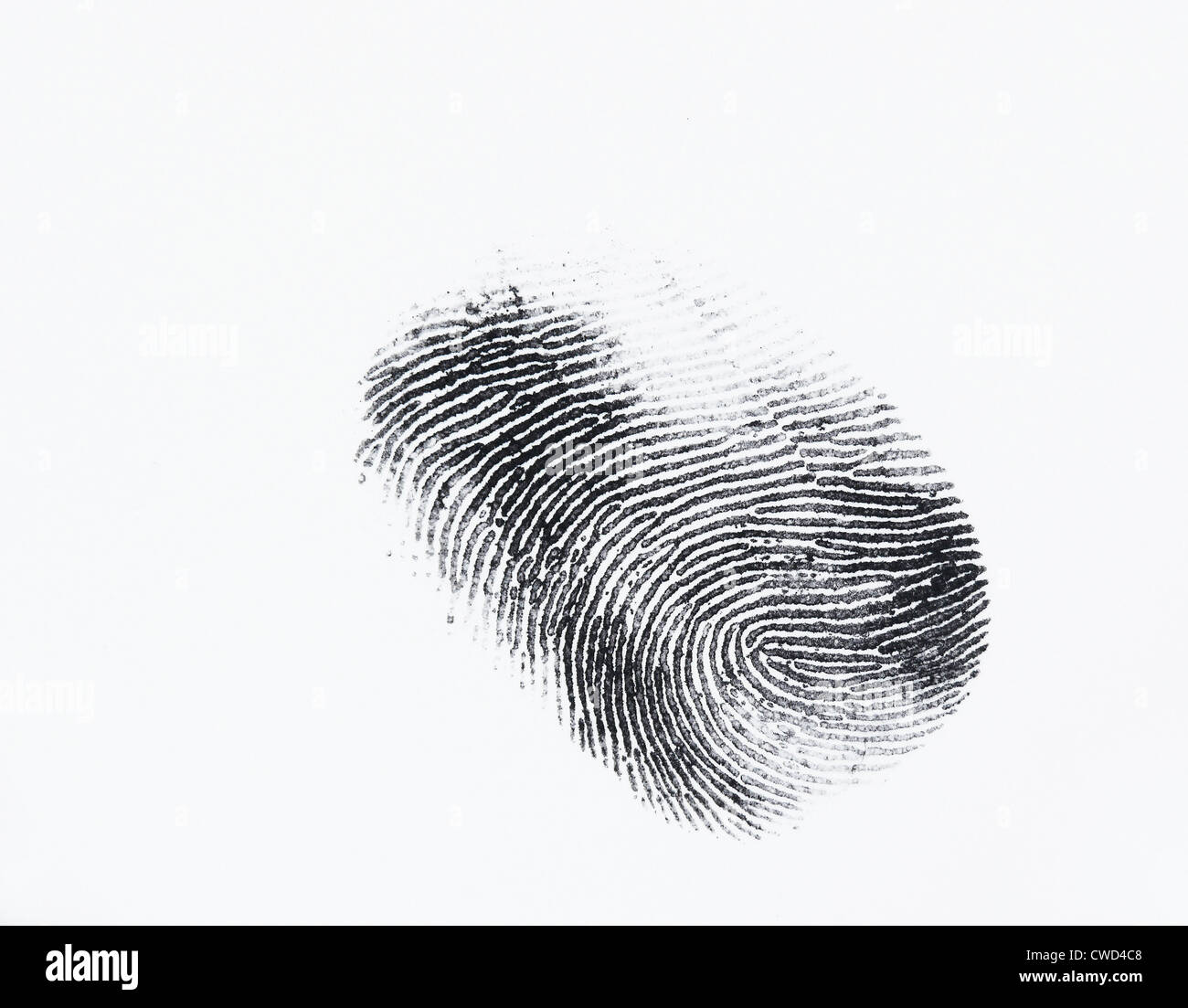 Fingerprint Fingerprints Individuality Stock Photos & Fingerprint ...
