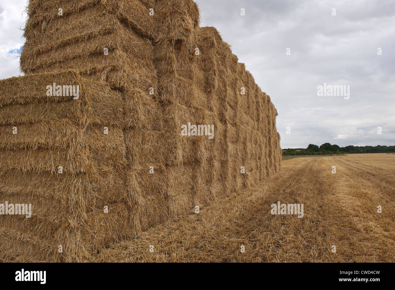 Giant hay stack recently gathered from a wheat field in rural ...