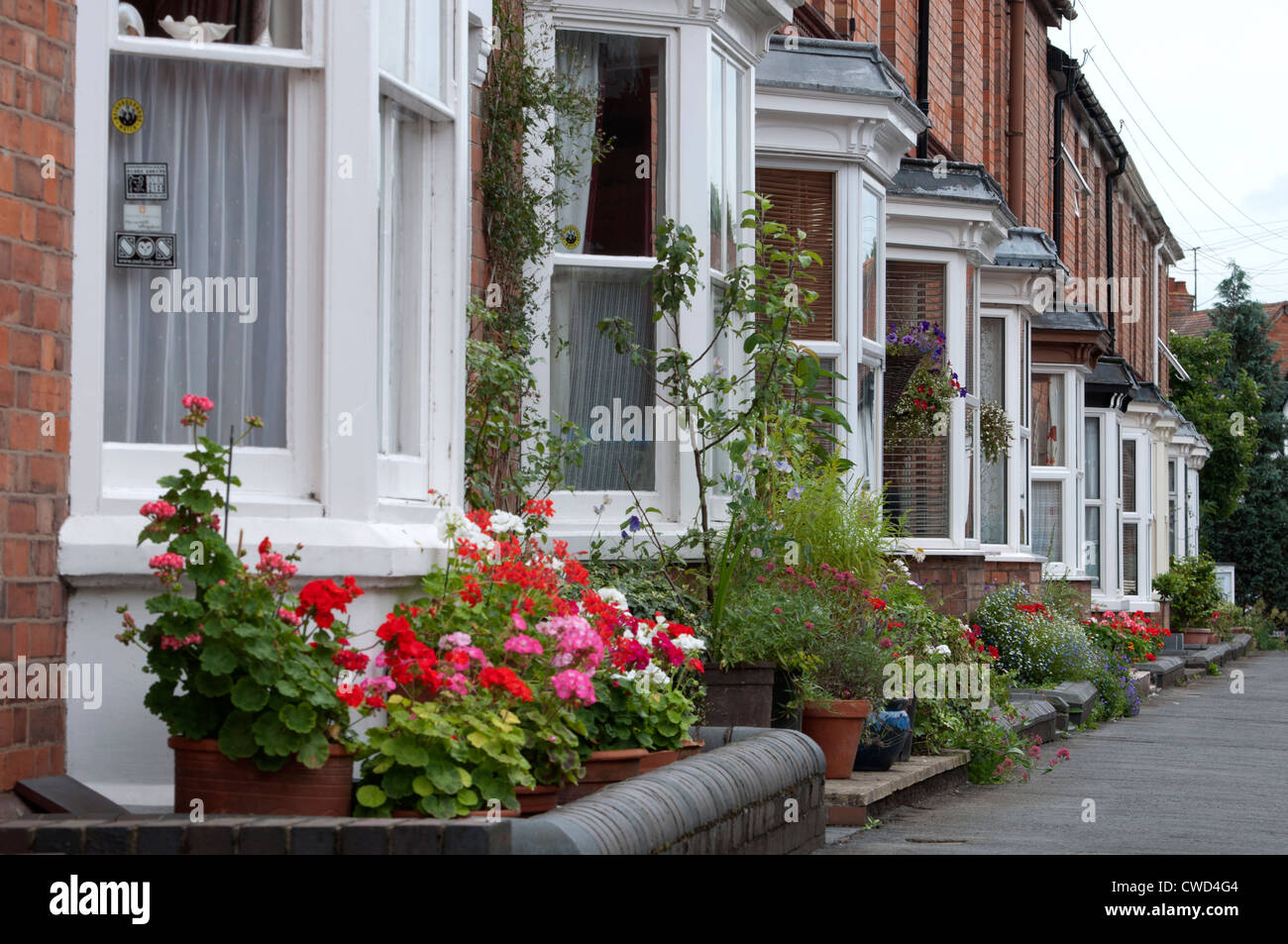 Terraced houses, Albany Road, Stratford-upon-Avon, UK Stock Photo - Alamy