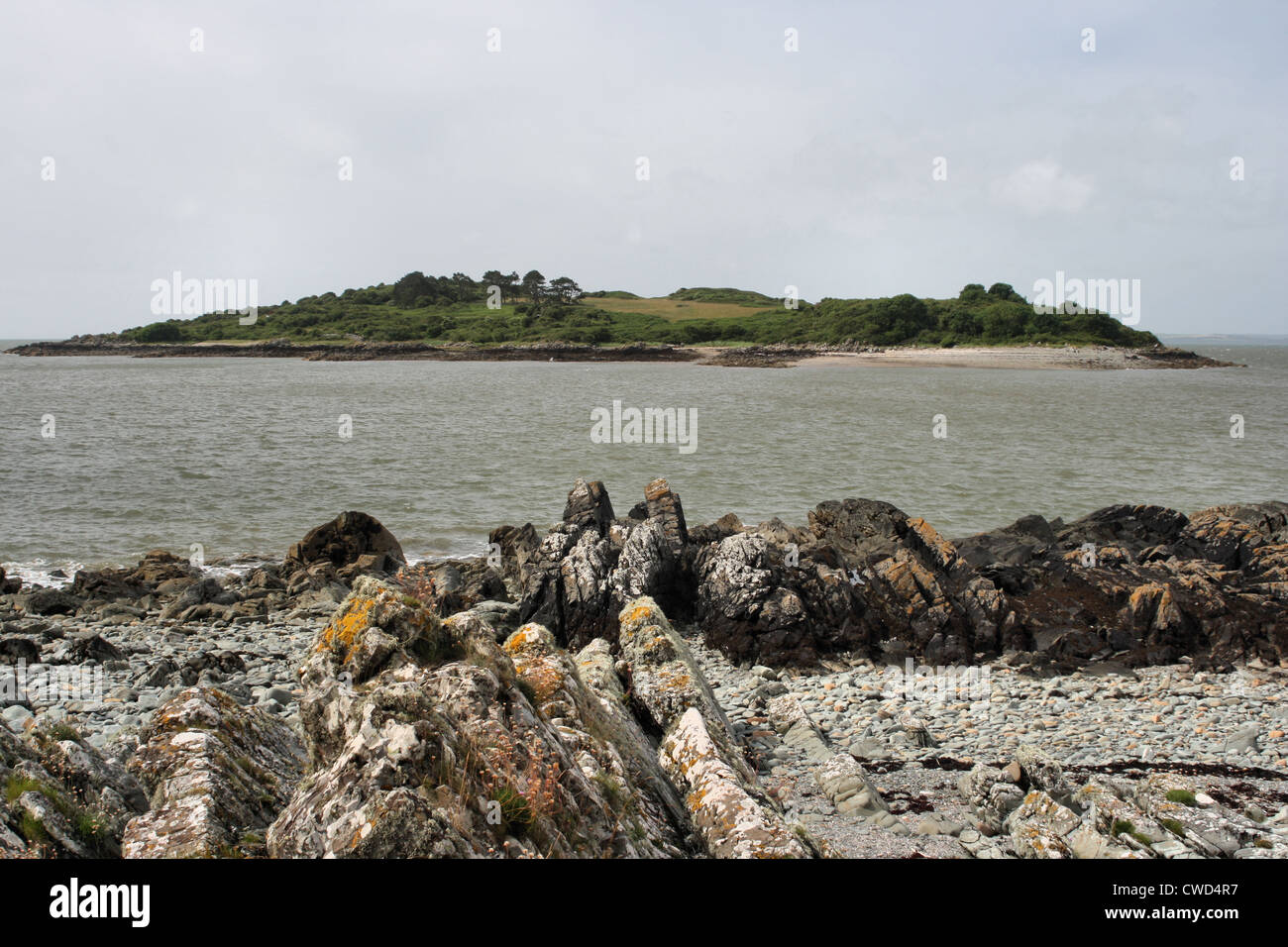 Ardwall Isle in Fleet bay Galloway Stock Photo - Alamy