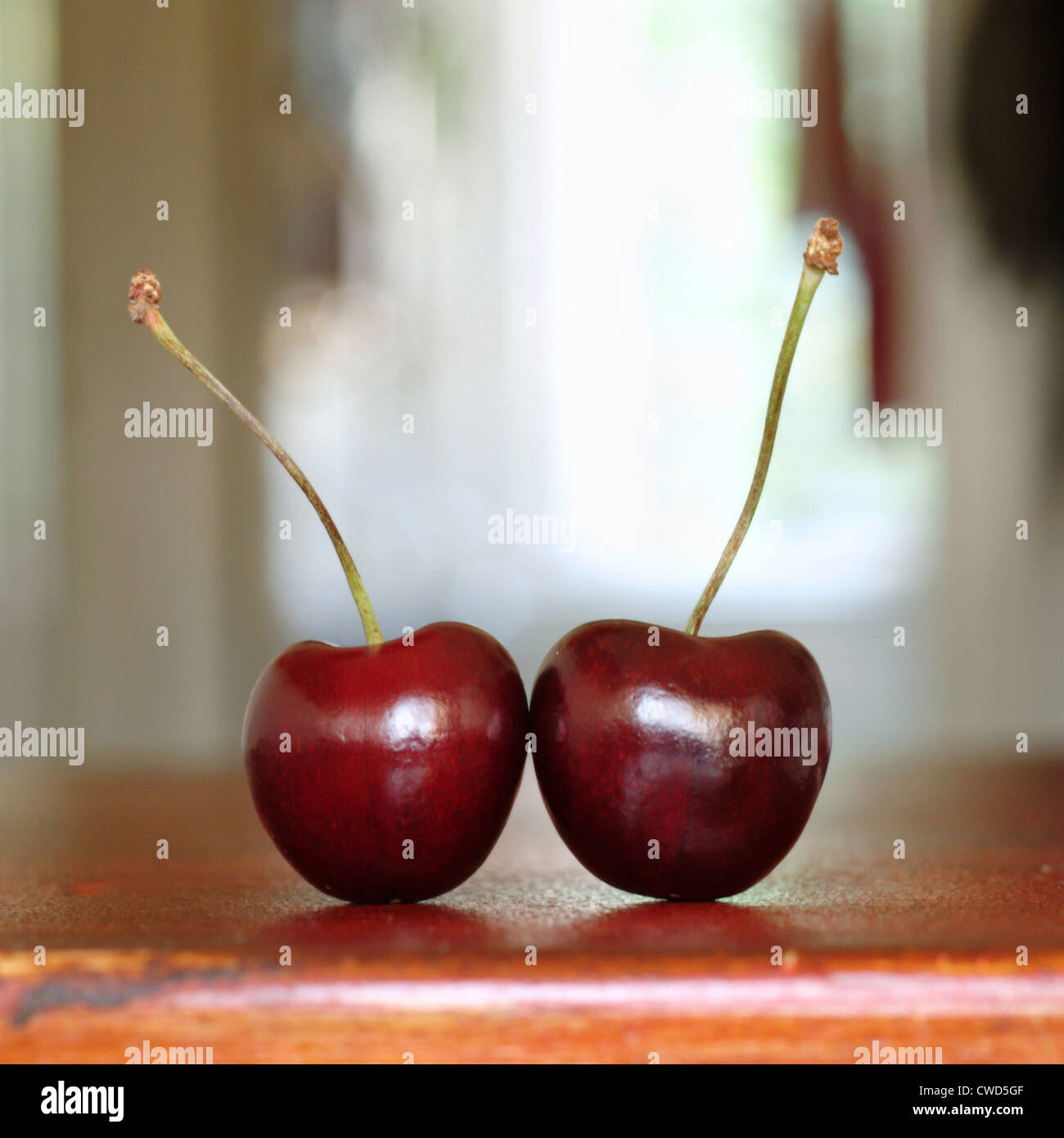 Two horizontal stems hi-res stock photography and images - Alamy