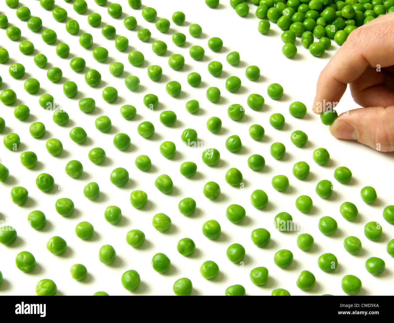 System of forced hi-res stock photography and images - Alamy