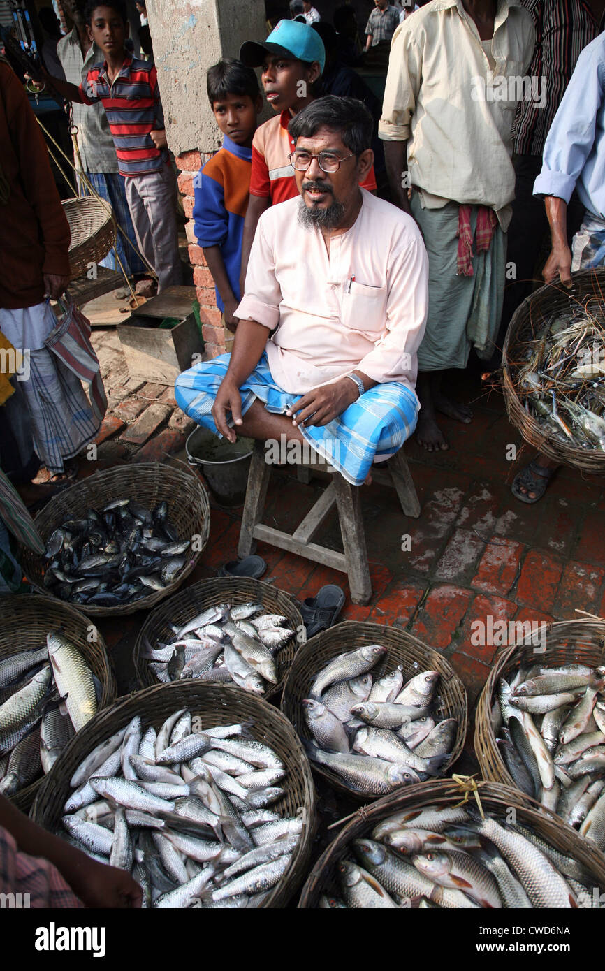Arrangement fish on market stall hi-res stock photography and images ...