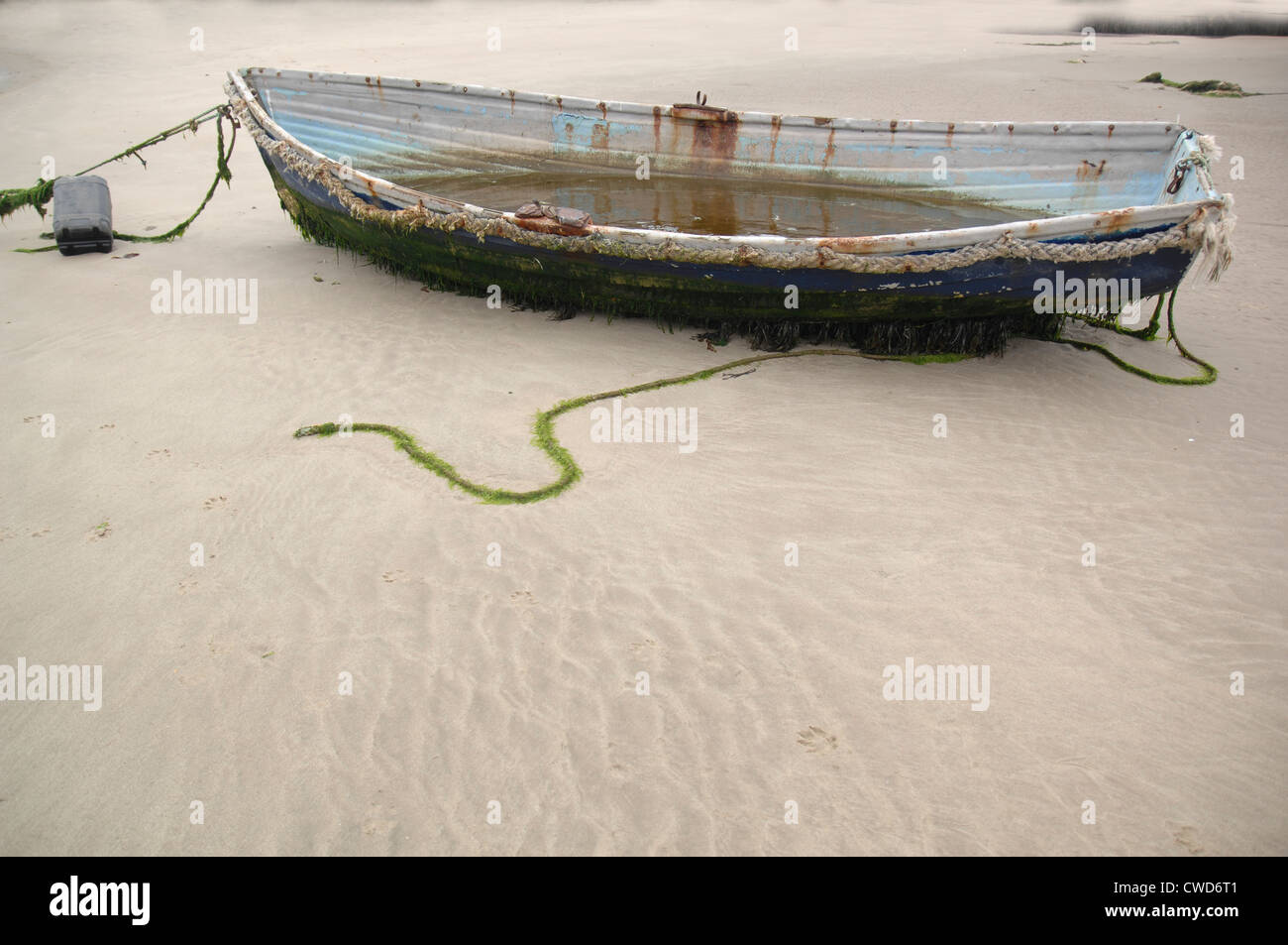 Sea water in a boat on the beach Stock Photo - Alamy