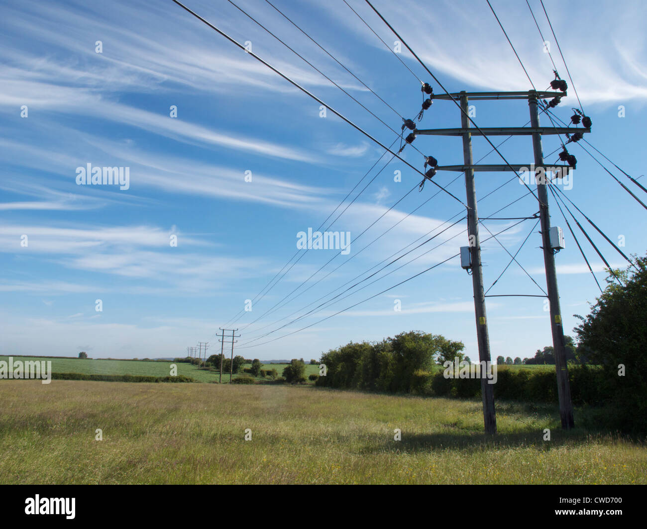 Hedgerow and pylons hi-res stock photography and images - Alamy