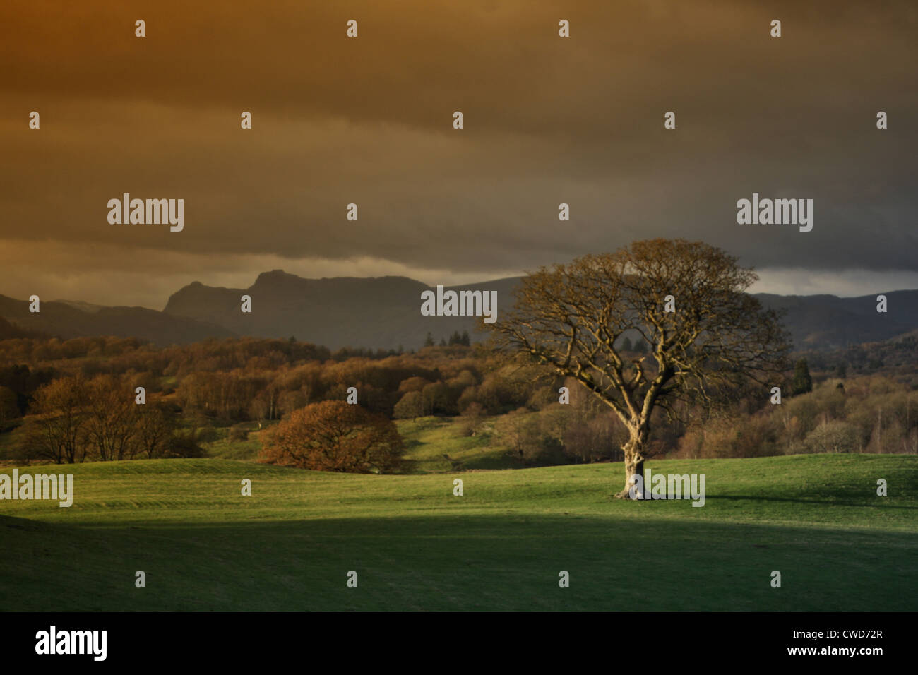 Wray castle grounds hi-res stock photography and images - Alamy