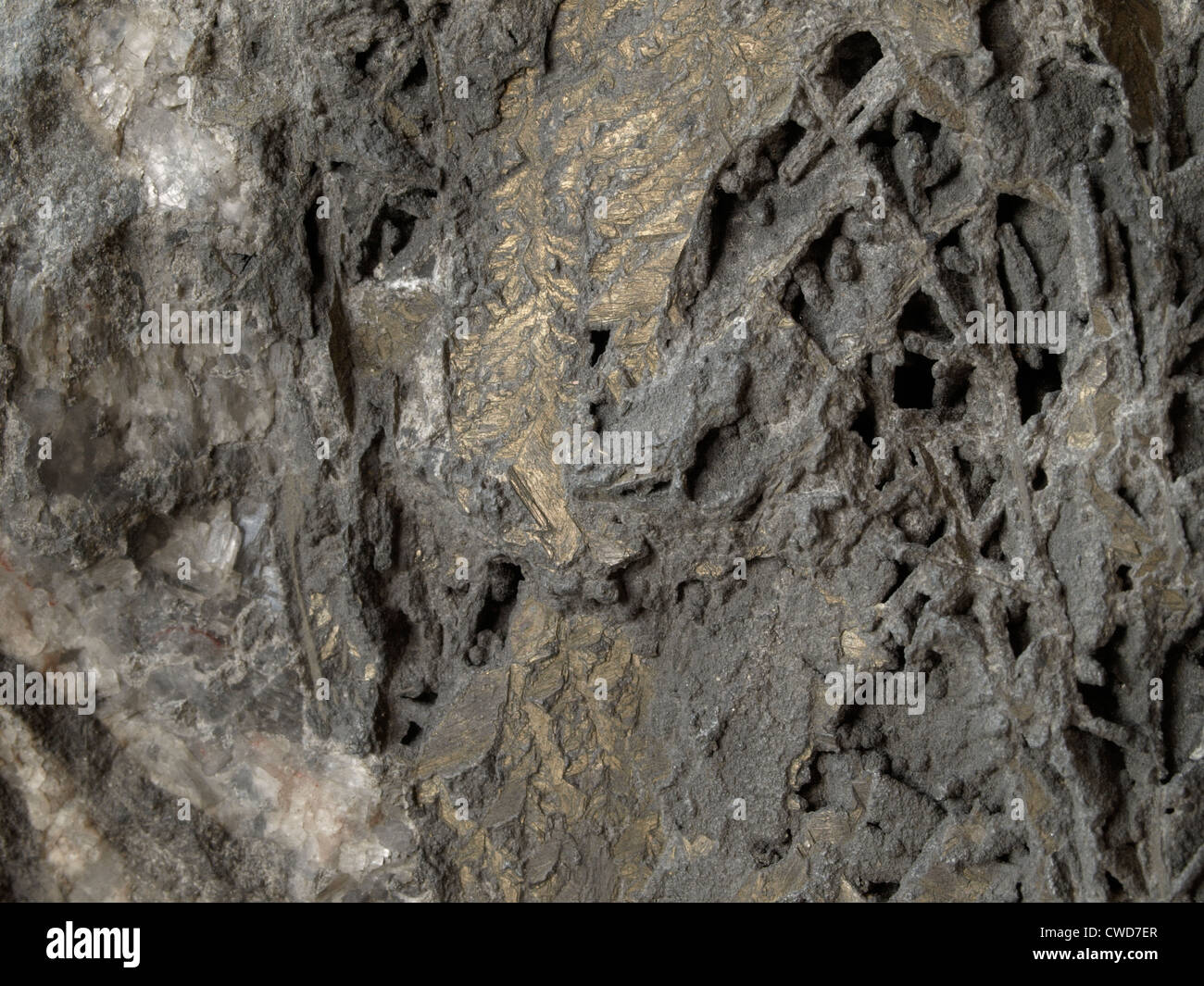 Native bismuth with pyrite; Jachymov, Czech. Photograph covers area 38 ...