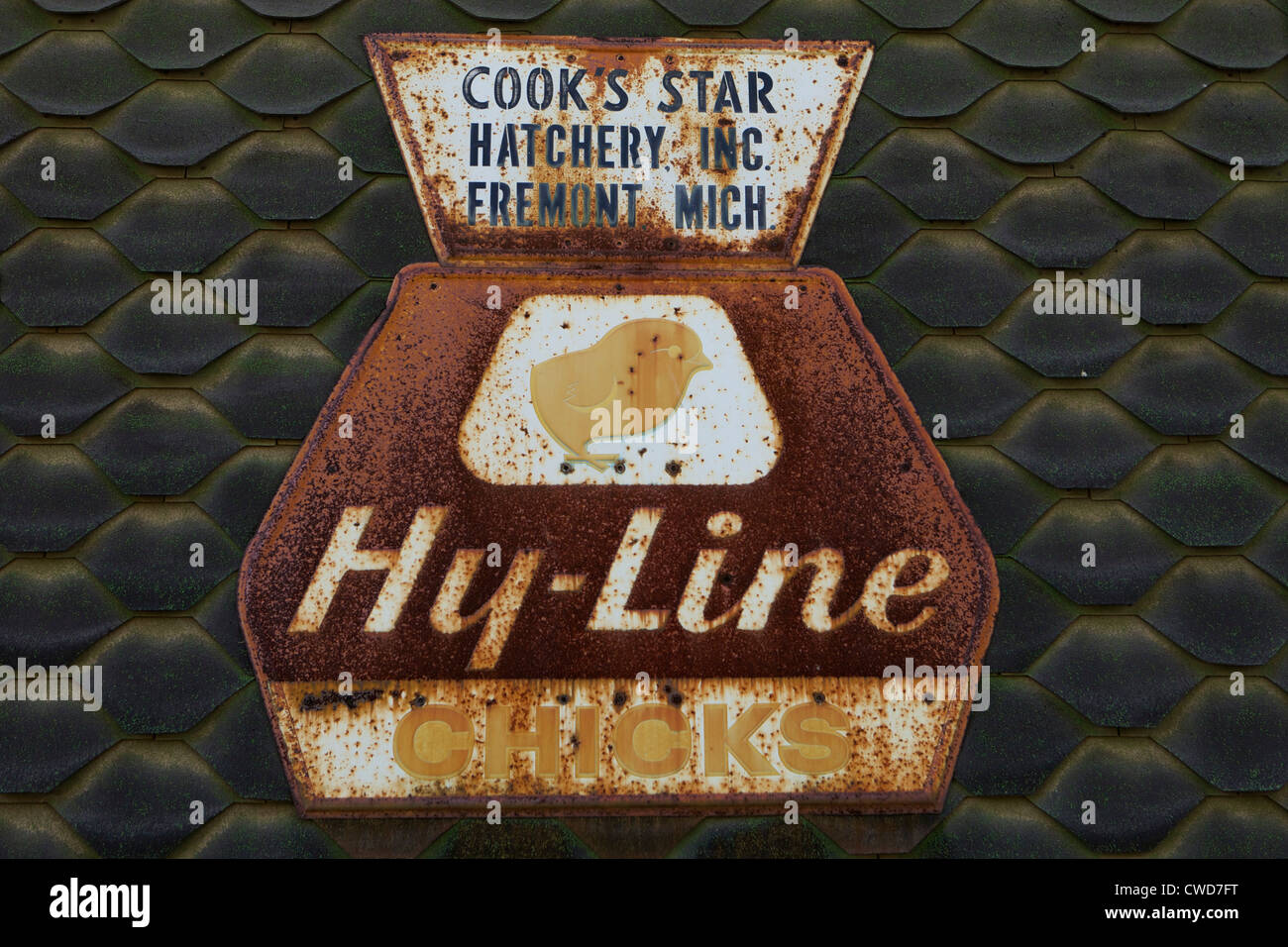 Vintage farm chickens hi-res stock photography and images - Alamy