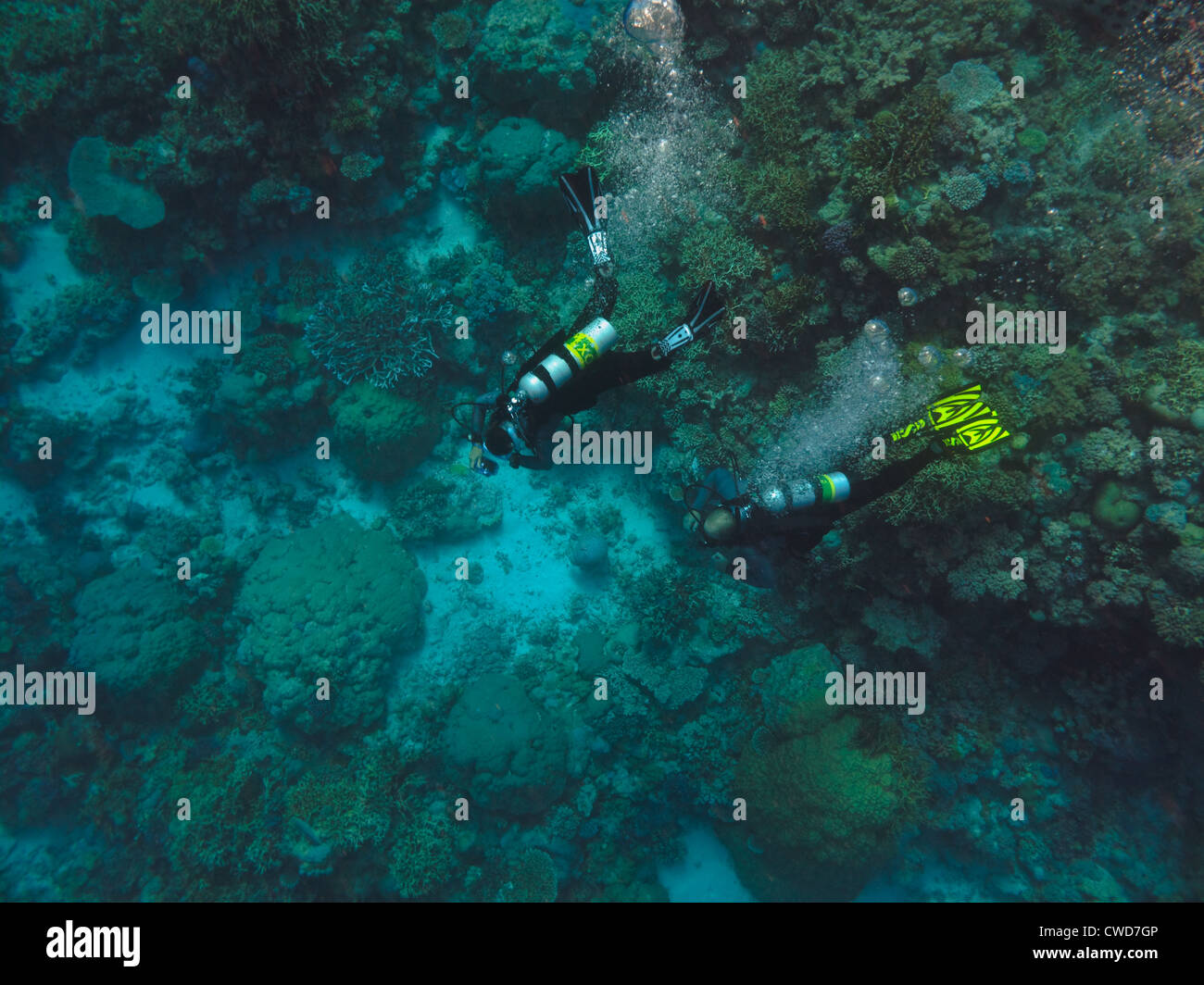 Two Scuba Divers on coral reef at Great Barrier Reef Australia viewed ...