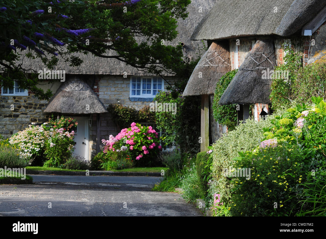 A view of some thatched cottages at Coombe Keynes Dorset UK Stock Photo ...
