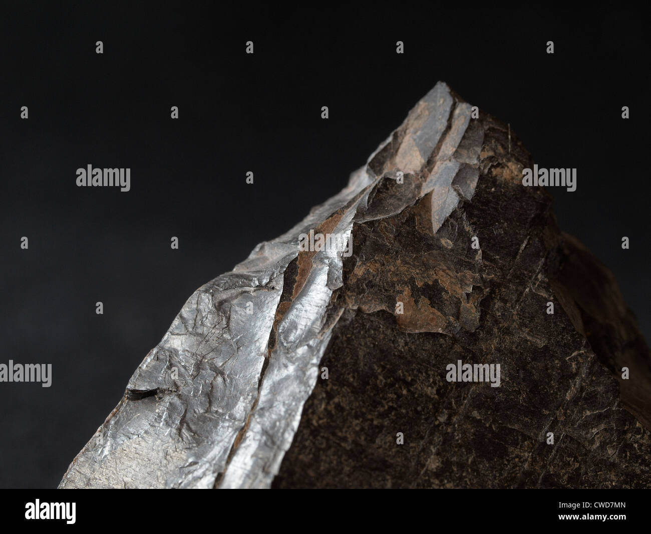 Native Of Bosnia High Resolution Stock Photography and Images - Alamy