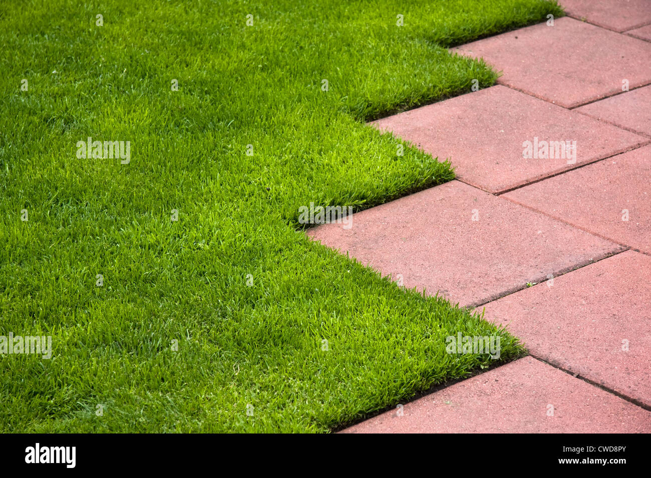 lawn,stone plate,paving slab Stock Photo - Alamy