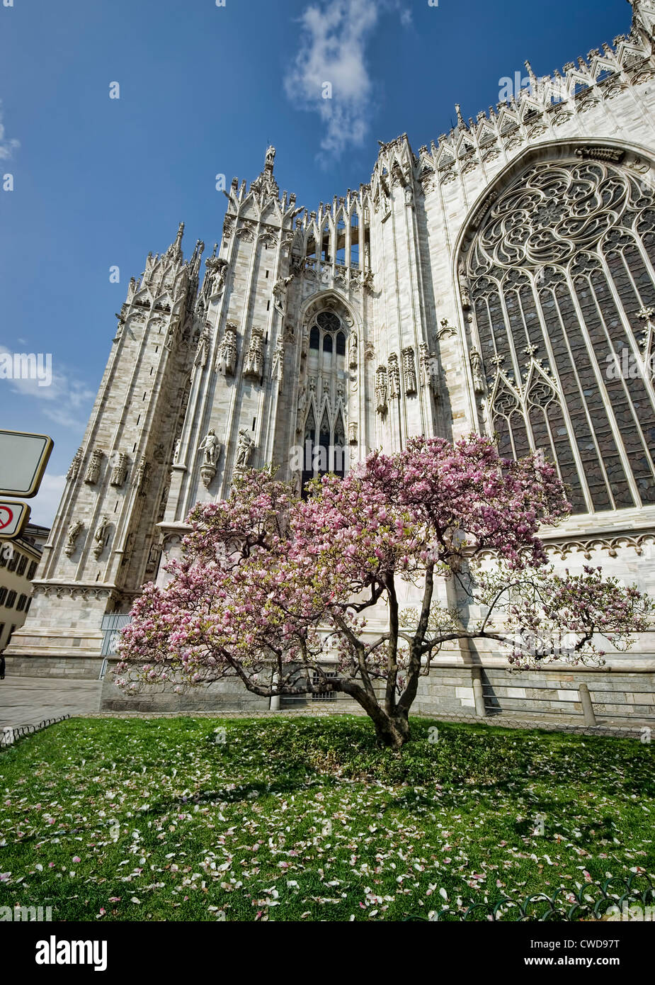 The Dome of Milan, Italy and spring tree with flowers Stock Photo - Alamy