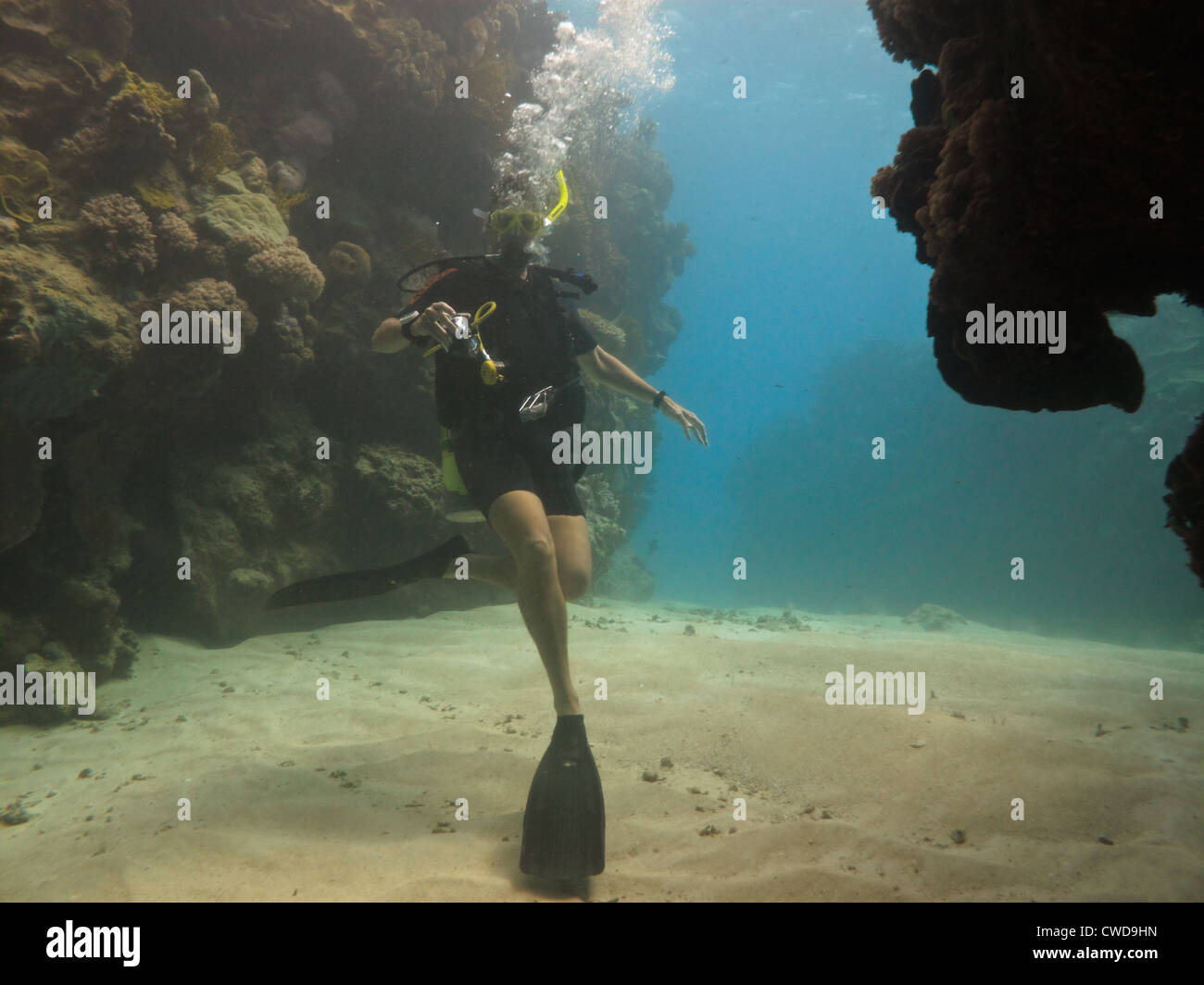 Scuba diver photographer swims on hi-res stock photography and images ...