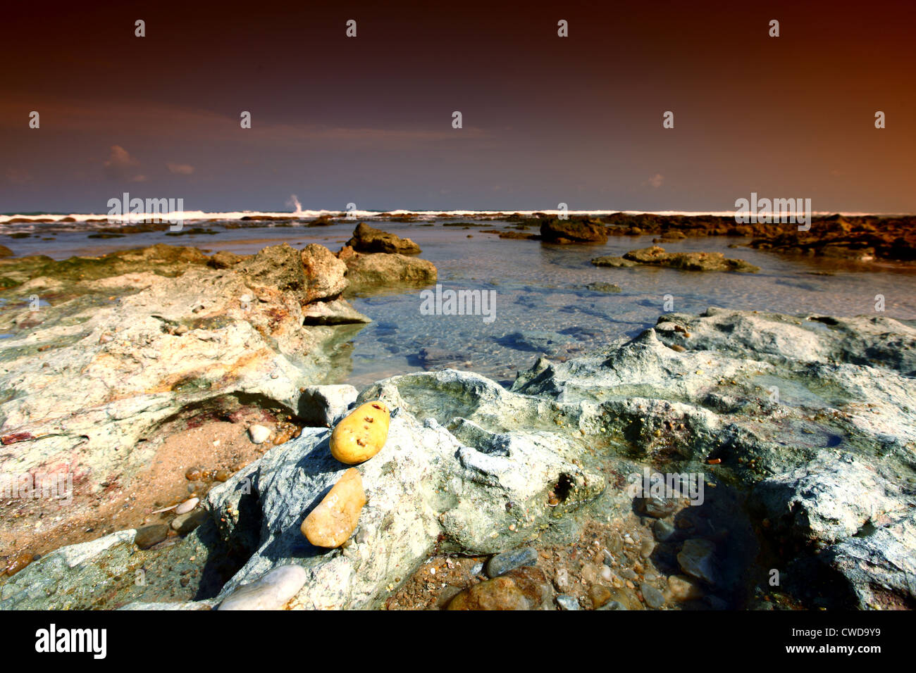 Reef stones an ocean water Stock Photo - Alamy