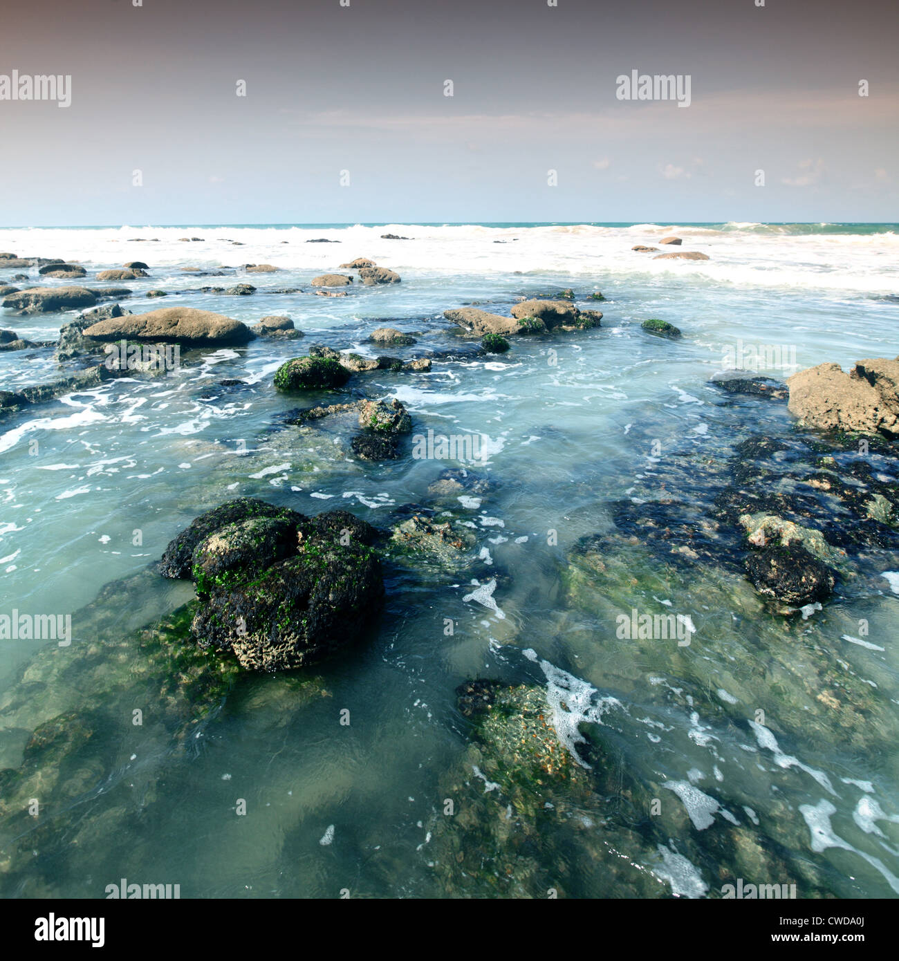 Reef stones an ocean water Stock Photo - Alamy