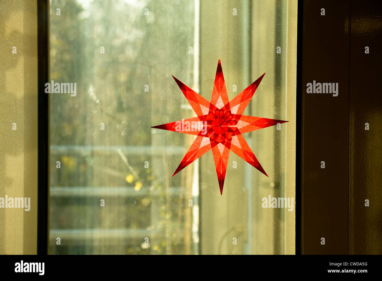 poinsettia,window glass,paper star Stock Photo - Alamy