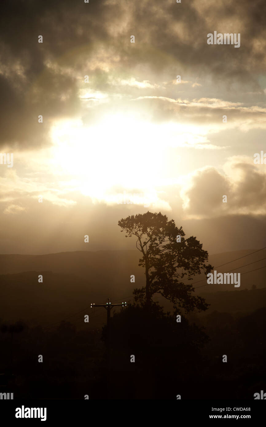 Sunset sepia over mountains and tree Stock Photo - Alamy