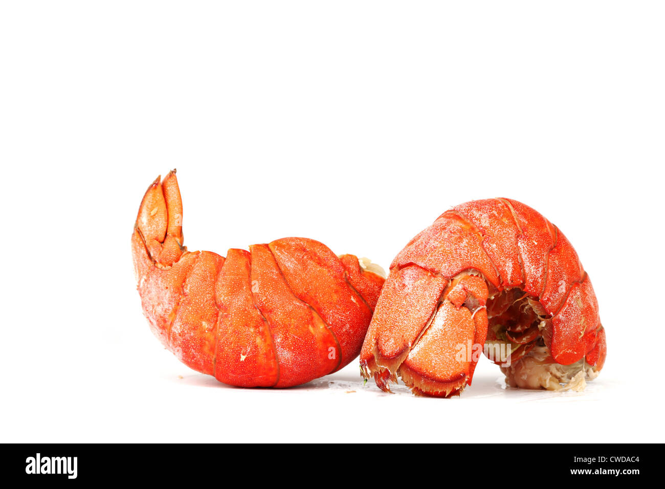 Lobster tail shell carapace hi-res stock photography and images - Alamy