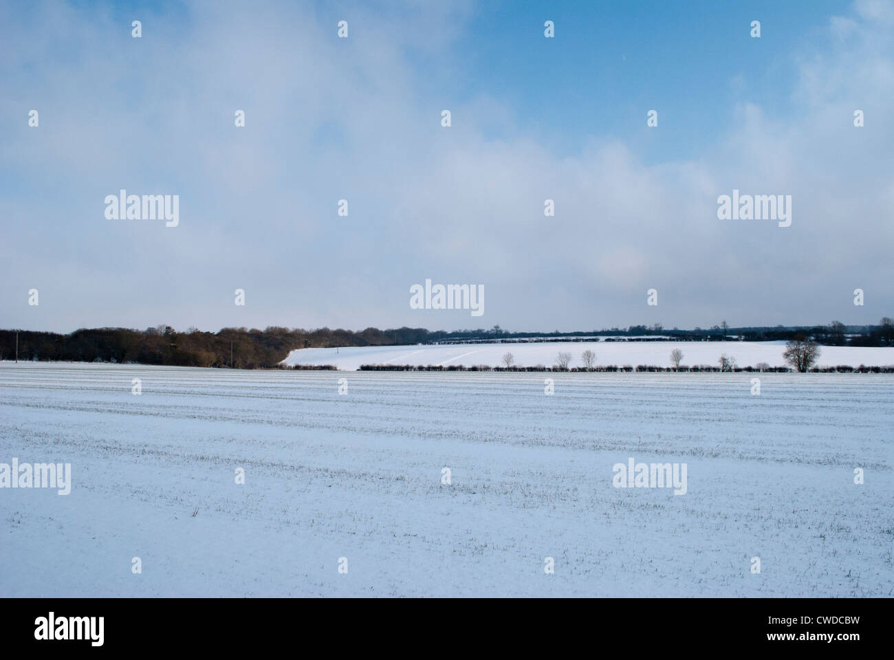 Snow covered fields with trees and hedges in the distance with light ...