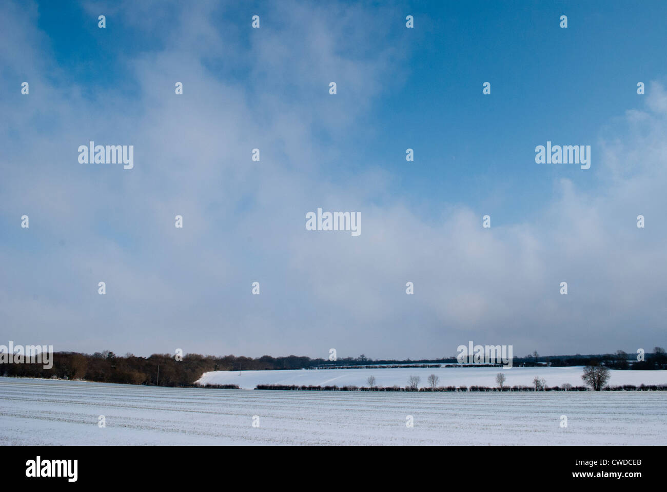 Snow covered fields with trees and hedges in the distance with light ...