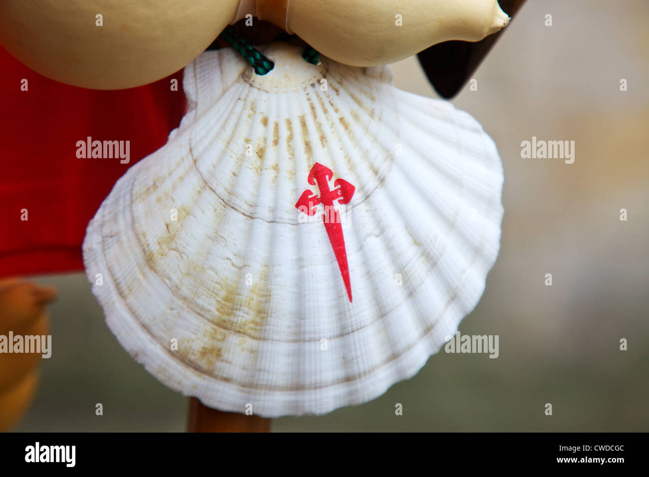 A Santiago Pilgrim scallop Stock Photo - Alamy