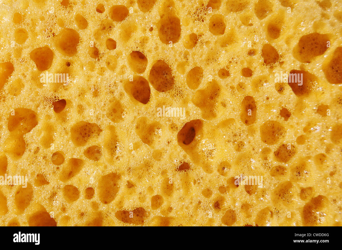 High resolution sponge texture suitable as background Stock Photo - Alamy