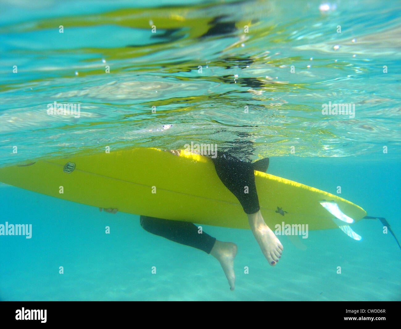 Underwater View Female Surfer High Resolution Stock Photography and ...