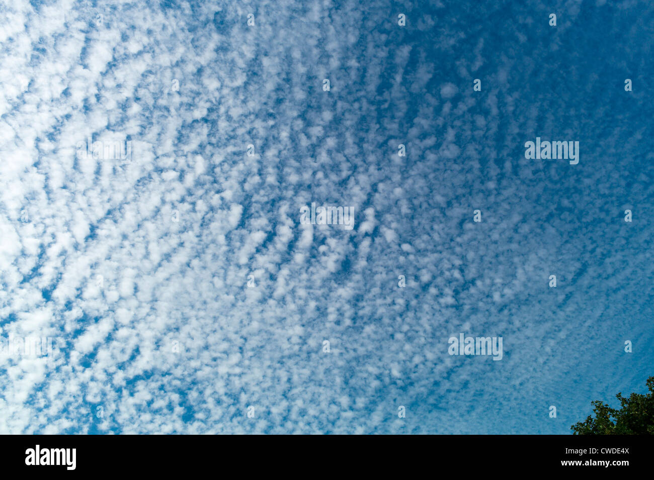 Cloud Formation Altocumulus floccus Stock Photo - Alamy