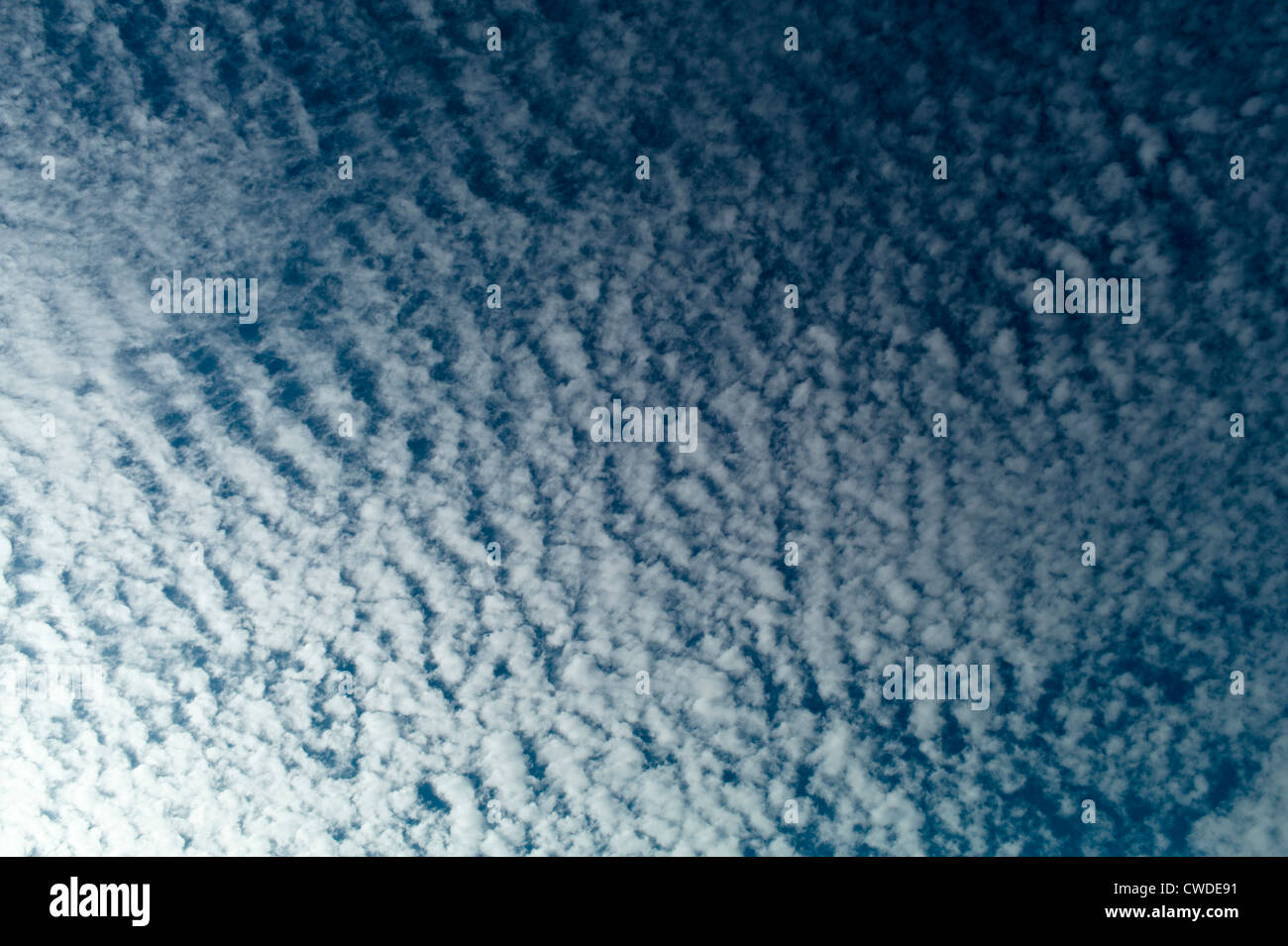 Cloud Formation Altocumulus floccus Stock Photo - Alamy