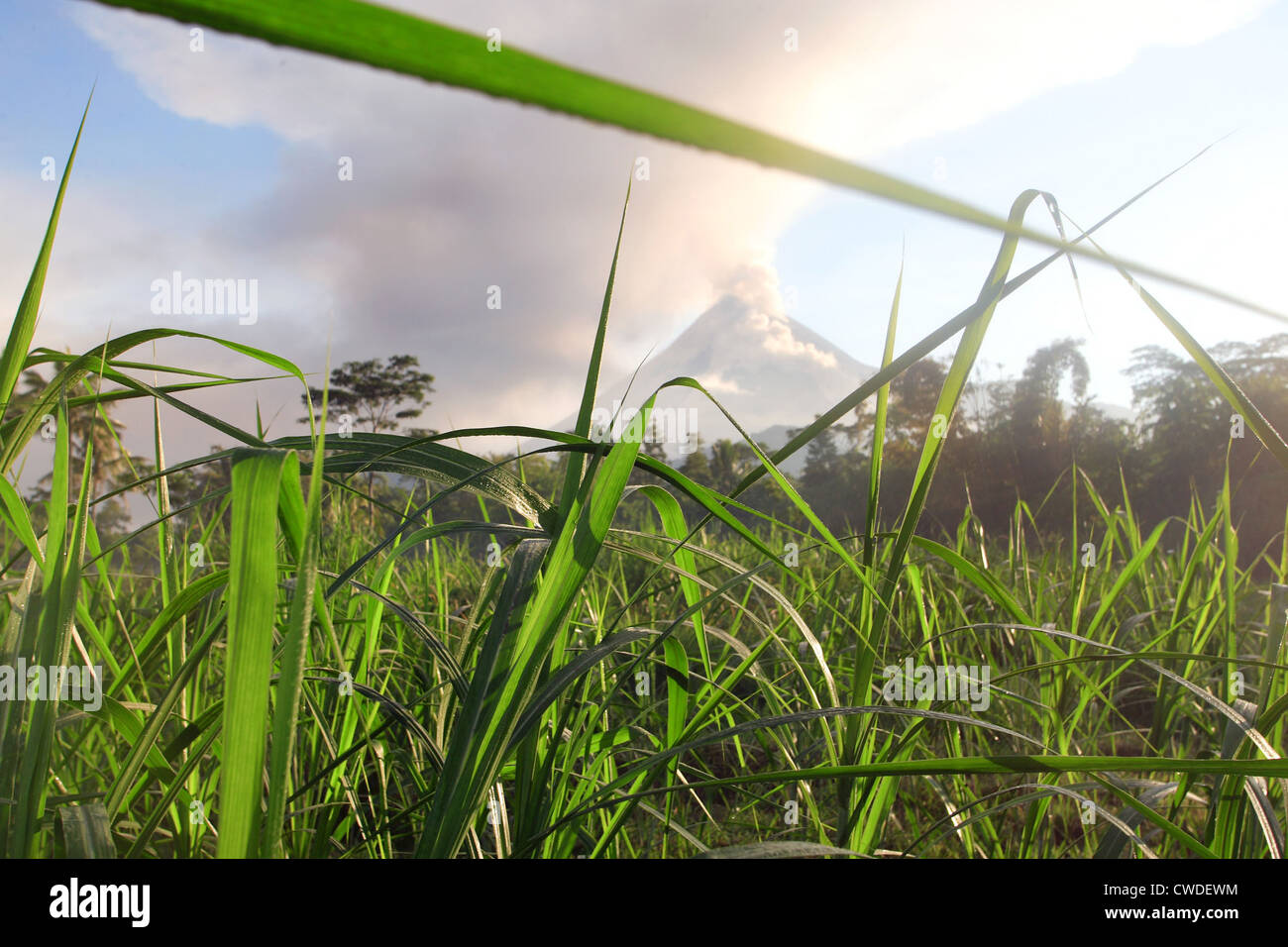Mount merapi eruption hi-res stock photography and images - Alamy