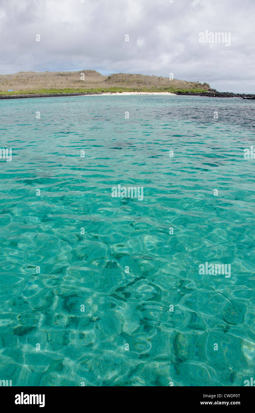 Ecuador, Galapagos, Santa Fe, Barrington Bay. Clear water bay and ...