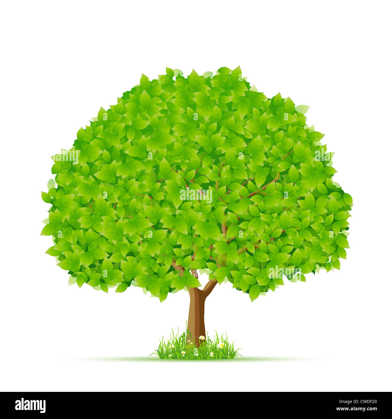Isolated Green Tree with Grass and Flowers for your design Stock Photo ...