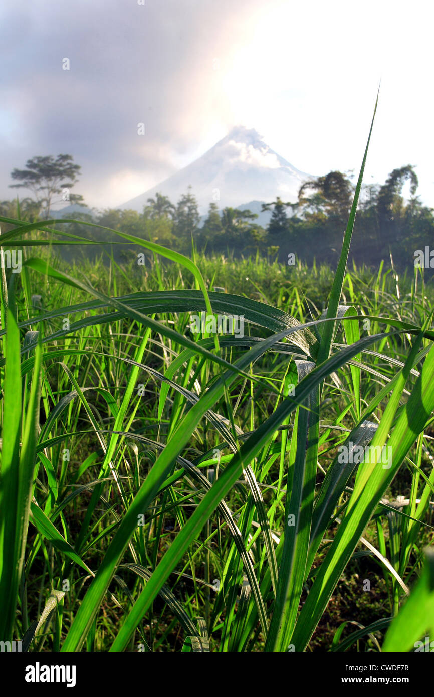 Active volcano Mount Merapi on Java Stock Photo - Alamy