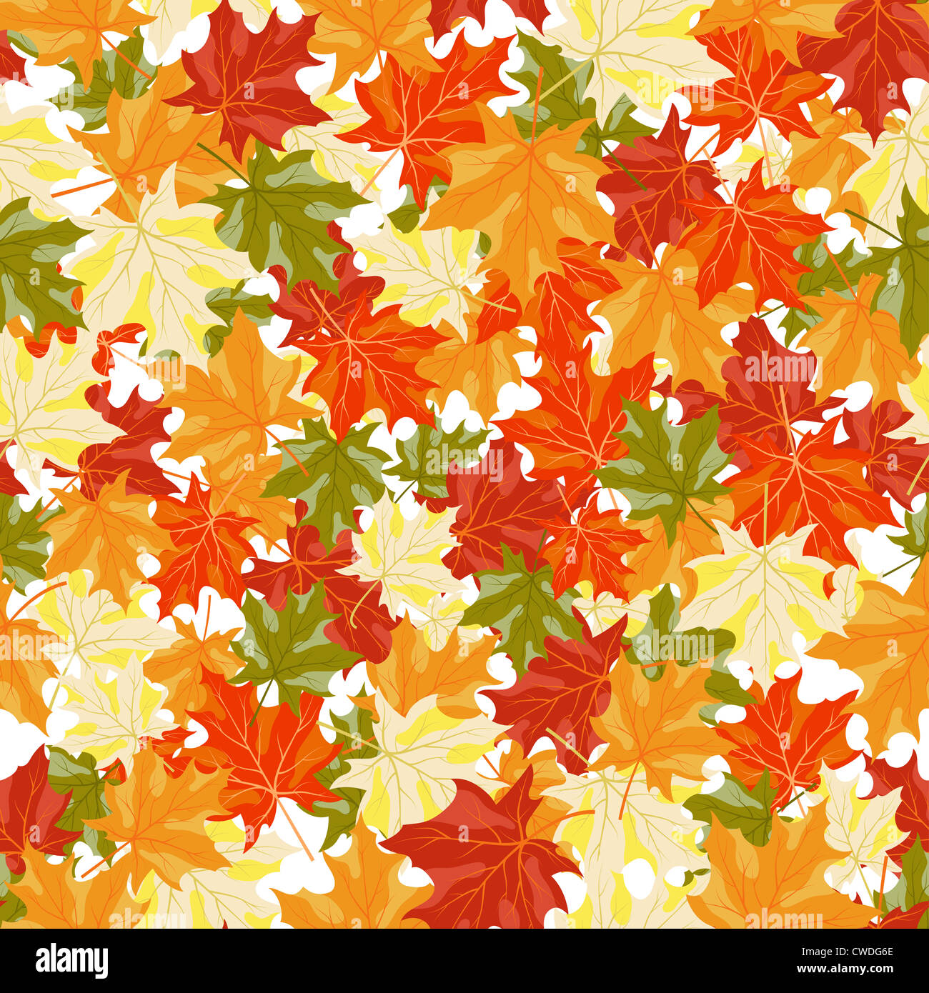 Autumn maples leaves seamless background. Vector illustration Stock Photo - Alamy