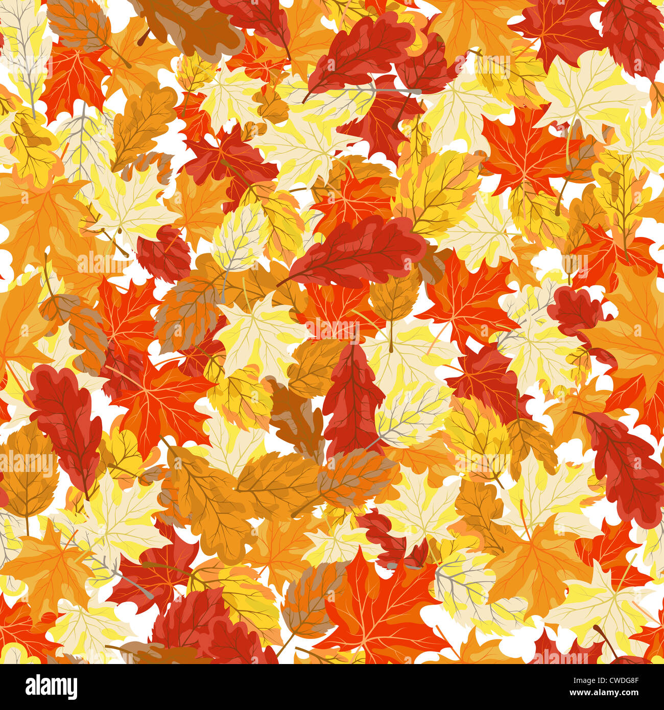 Autumn maples leaves seamless background. Vector illustration Stock Photo - Alamy