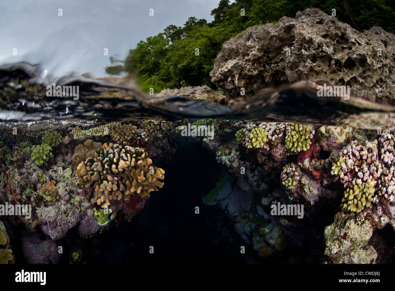 Fringing reef hi-res stock photography and images - Alamy