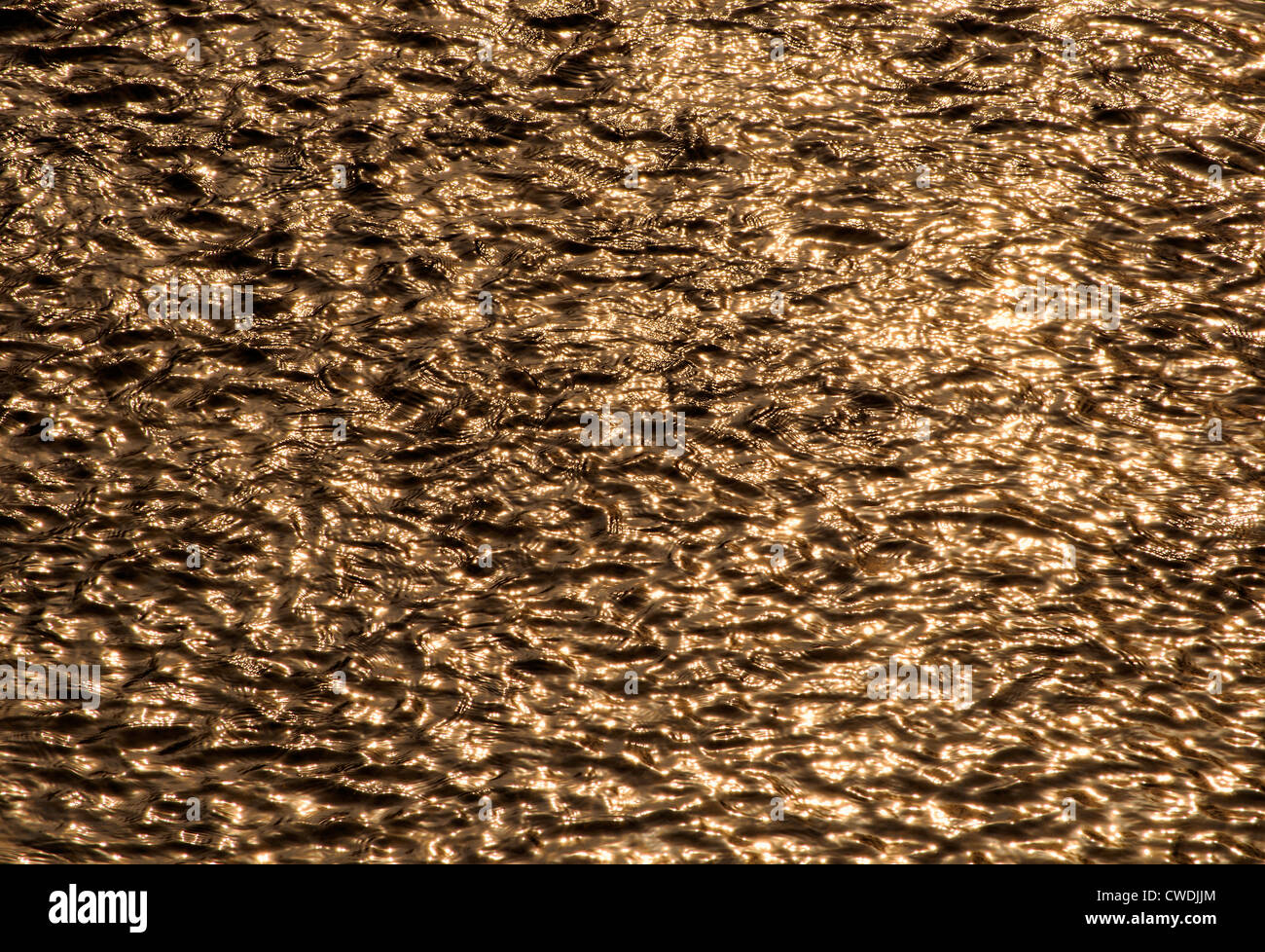 Golden yellow liquid hi-res stock photography and images - Alamy